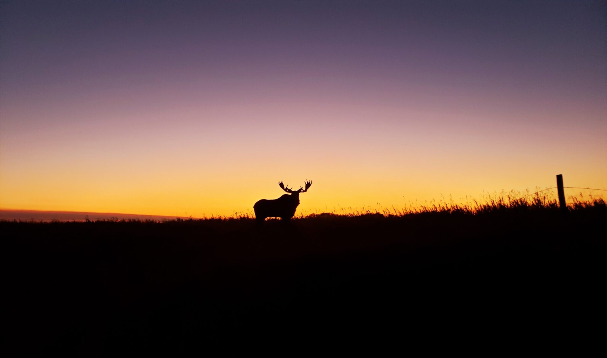 ESAA Photo Contest – ESAA